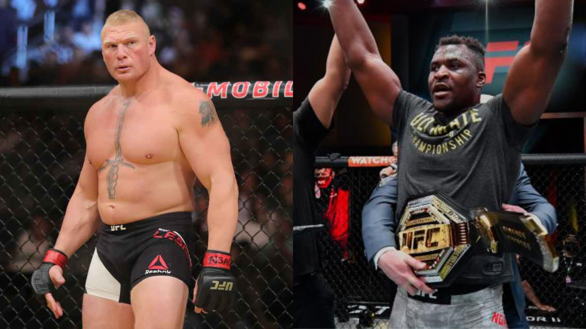 Brock Lesnar Ufc Shorts